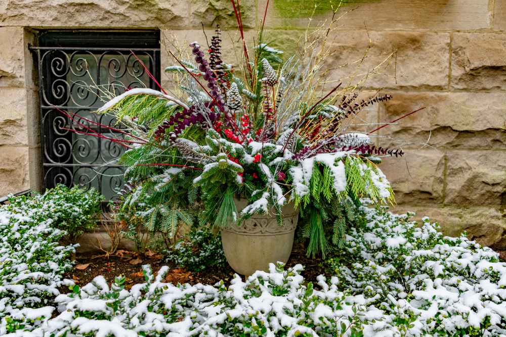How to Make a Winter Planter for Your Porch - Greenway Biotech ...