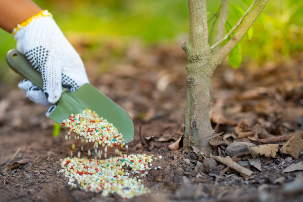 6 Popular Ways to Apply Fertilizer You Should Know | Greenway Biotech ...