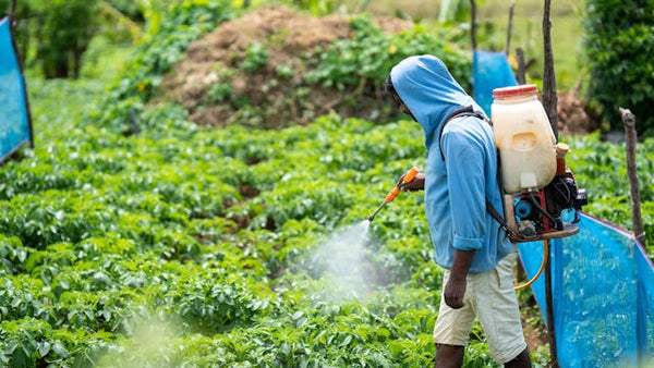 Sulfur Powder in Organic Gardening: A Complete Guide – Greenway Biotech ...